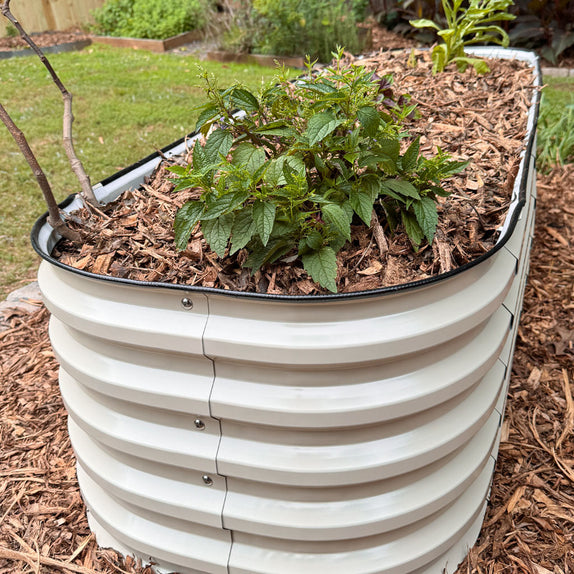 two white raised garden boxes-Vegega