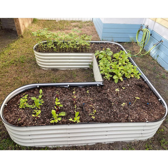 How To Start You Own Raised Bed Berry Patch | VEGEGA - VEGEGA Metal ...